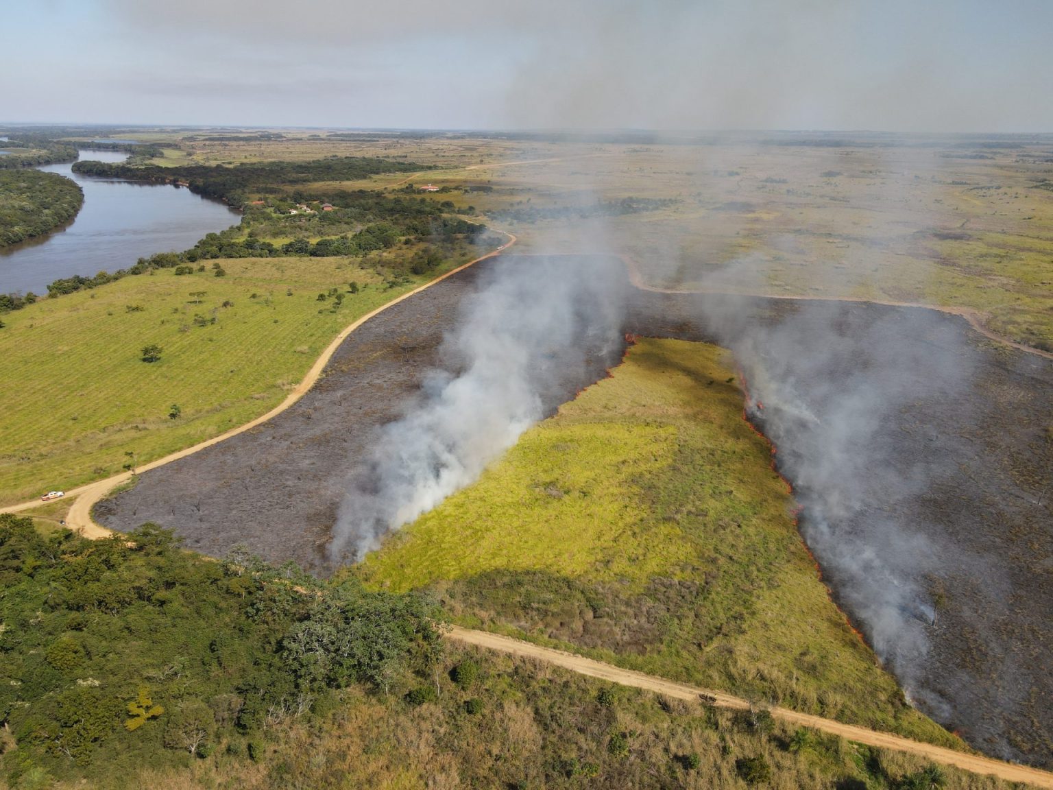 QUEIMADA CONTROLADA – Instituto de Meio Ambiente de Mato Grosso do Sul
